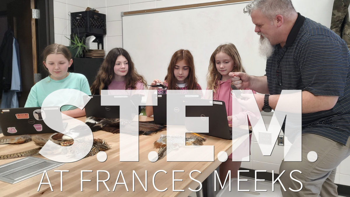 STEM at Frances Meeks - Richmond Hill Reflections