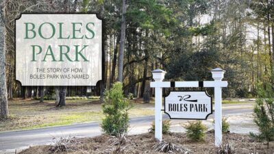 Boles Park - Richmond Hill Reflections